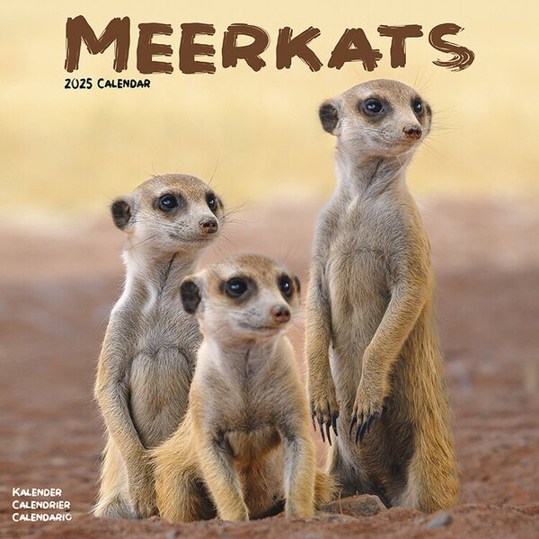 Kalendar 2025 Meerkats | FAVI.hr