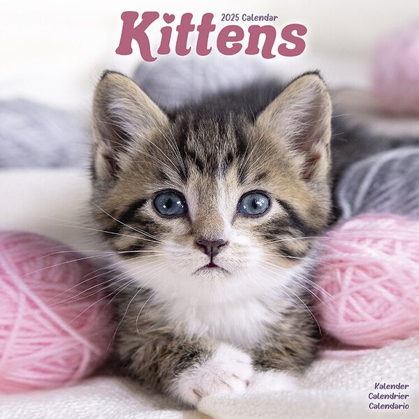 Kalendar 2025 Kittens | FAVI.hr